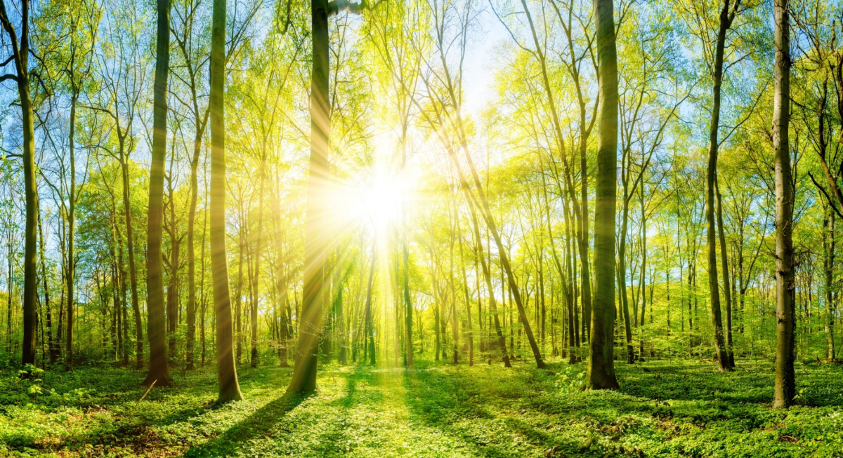 Better Understand How God's Power Should Work In A Church